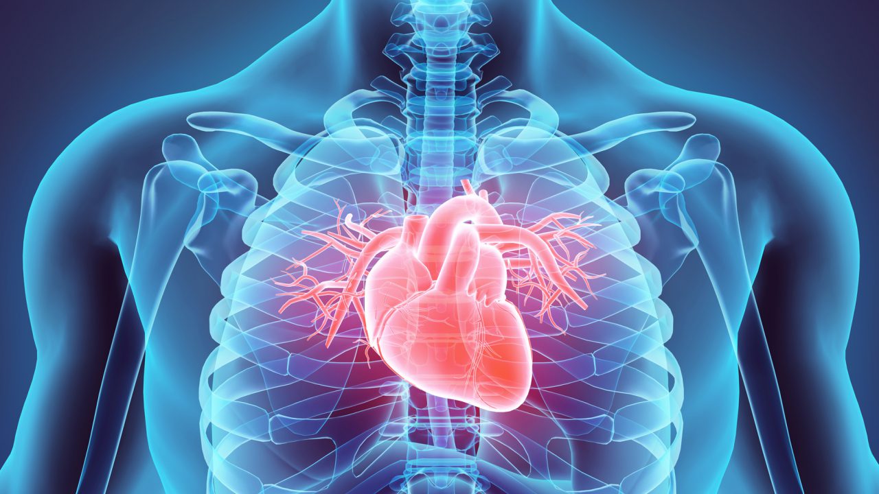 Specialists Perform First-Ever Valve Implant on LVAD Patient | Vitals